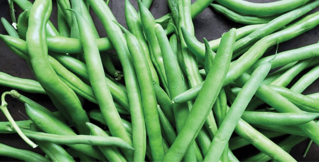 Vegetables - Your Patch Organic Gardening Perth